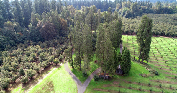 Willamalane Conducting Controlled Ecological Burns at Dorris Ranch ...