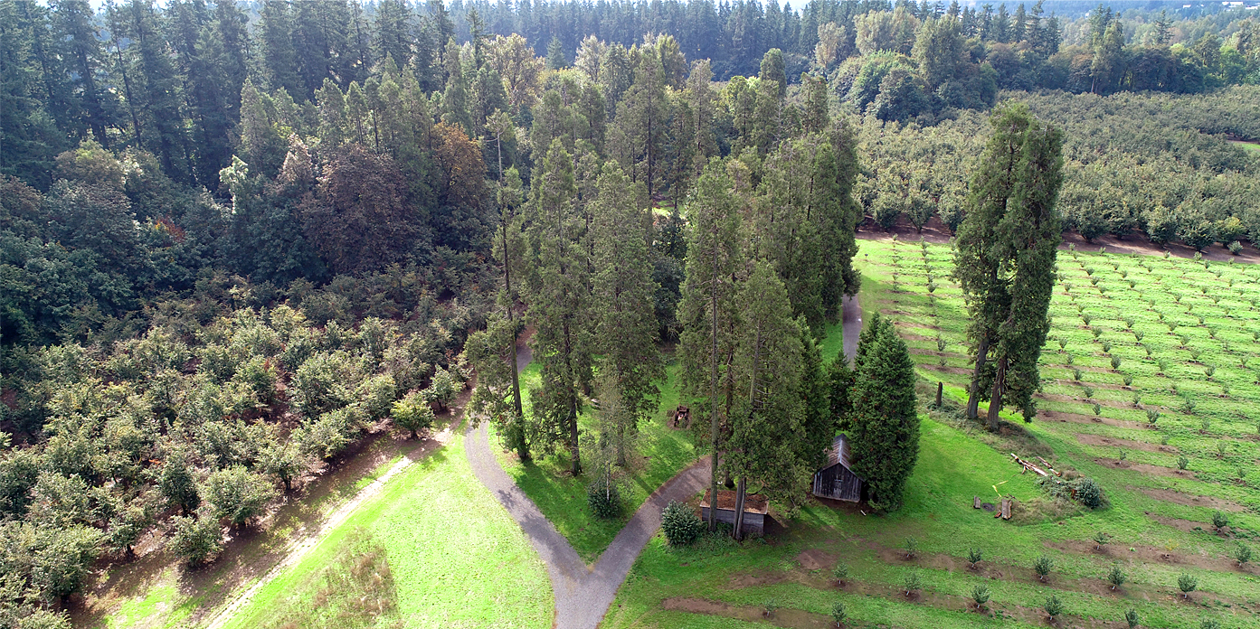 Willamalane Conducting Controlled Ecological Burns at Dorris Ranch ...