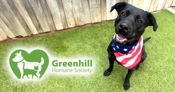 Greenhill’s Annual Dog Adoption Promotion to Kick Off Summer ...