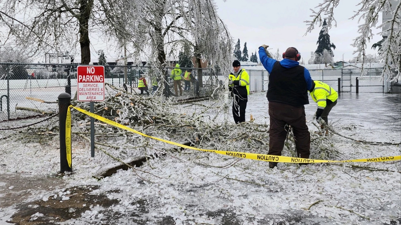 City of Springfield Reflects on 2024 Ice Storm: A Year of Recovery ...