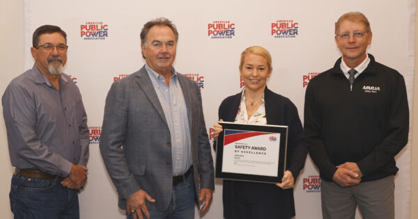 Springfield Utility Board Recognized Nationally for Safety and Electric ...