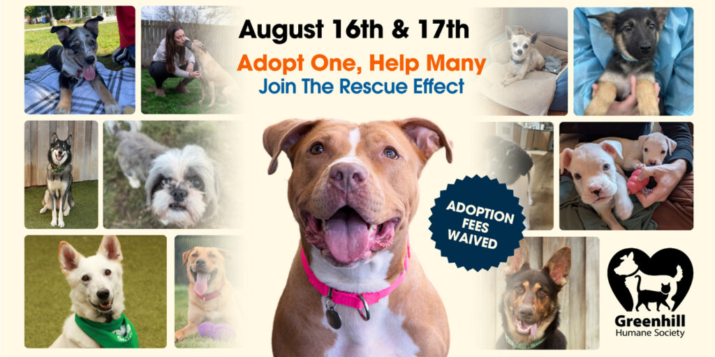 Greenhill Humane Society Joins the ASPCA’s Rescue Effect Campaign - Springfield Bottom Line