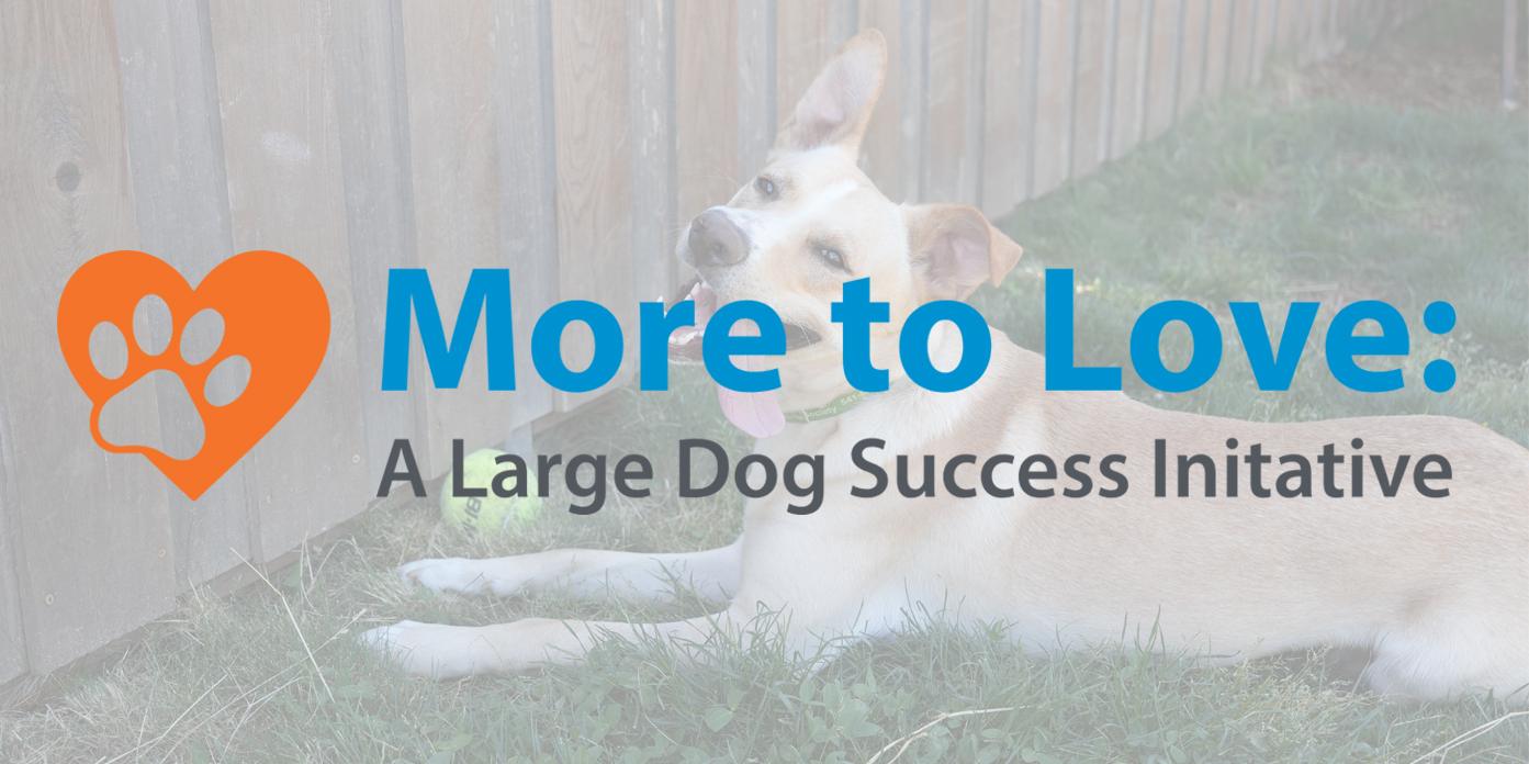 Greenhill Humane Society Launches “More to Love,” A Large Dog Success ...